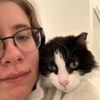 With cat housemates in Georgetown, TX – Roomies.com